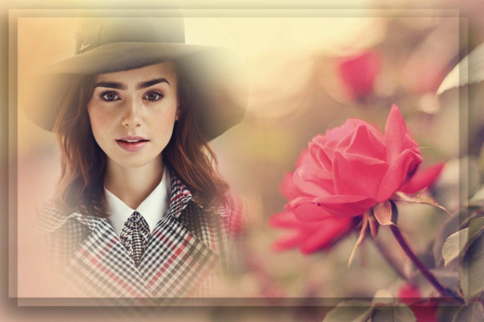 Jezebel64's Sunsets, Scenery and Nature🌄 - Nature Portrait Red Rose ...