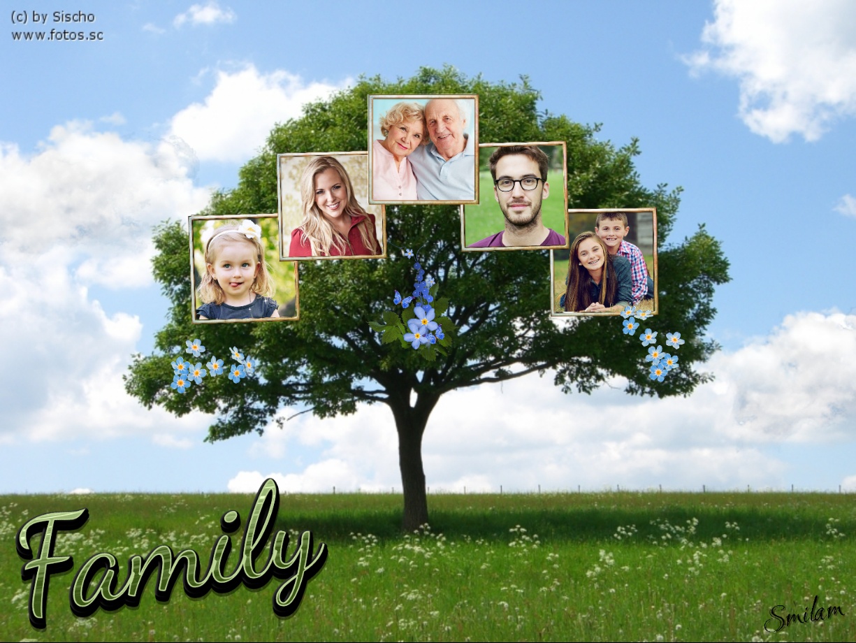 smilam's Family Frames - Family Tree with Photo Frames, Family Photos ...