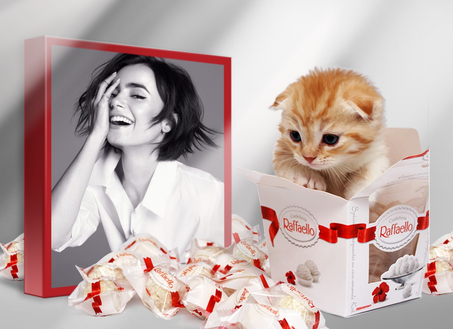 Elizabeth's CATS & DOGS 🐱 🐶 - Cats Kittens Pets Elizabeth - Cats ...