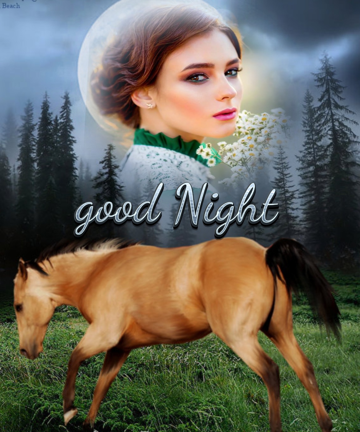 Emily50's Good Morning and Good Evening Frames - good Night good ...