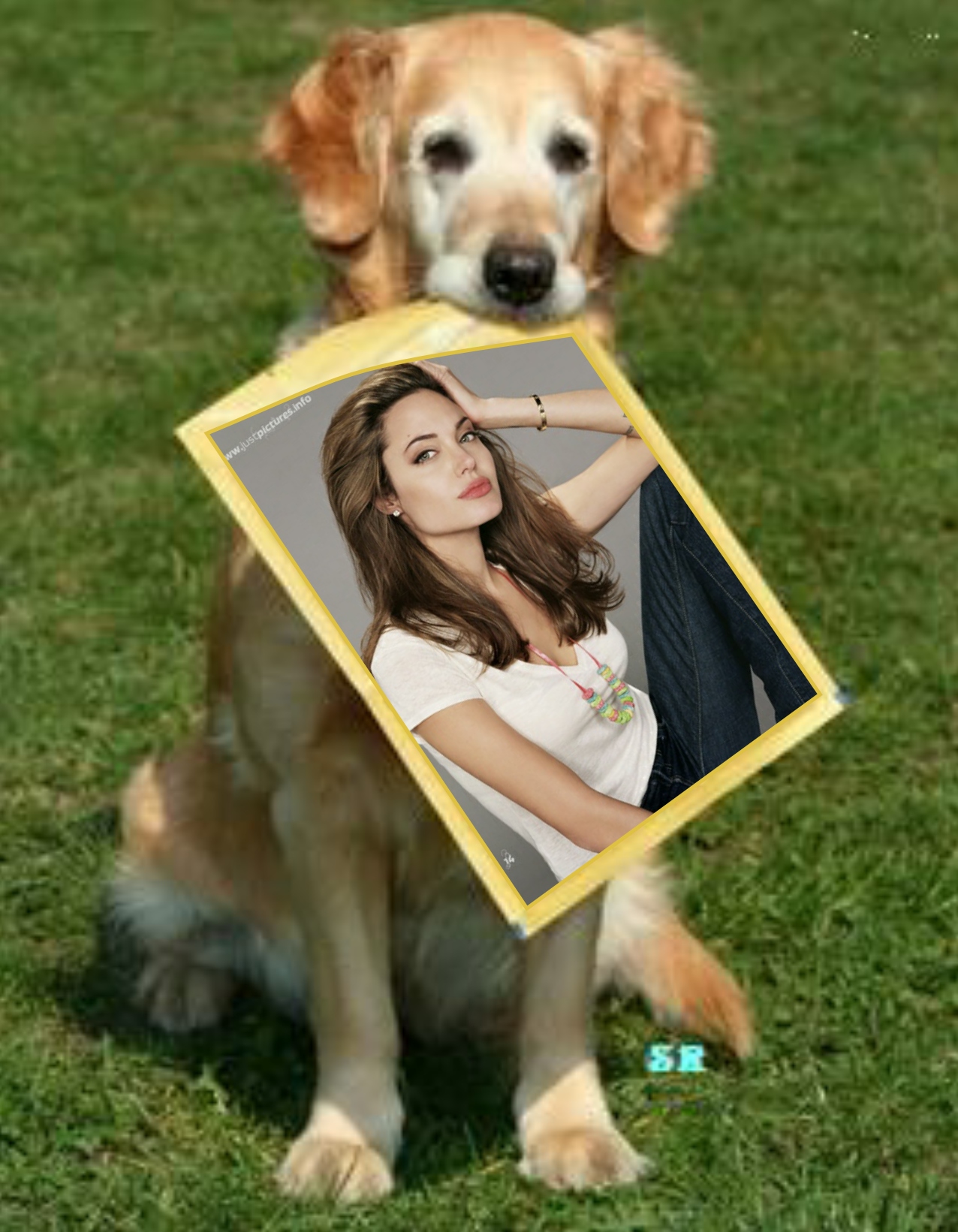 sera34's Wildlife Frames - 2008 - 2009 March - 2008 - 2009 March - cute ...