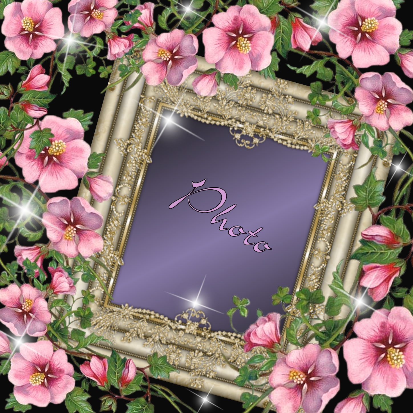 TAMMYBRANTLEY's Picture Frames - 2013 August - 2013 October - Elegant ...