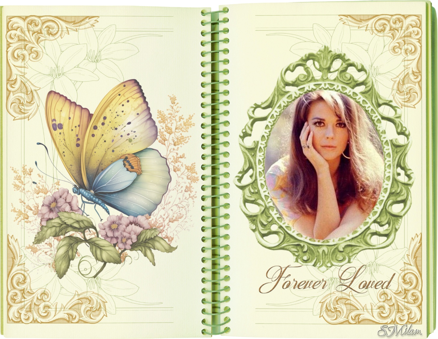 smilam's In Memory Of... Frames - In Loving Memory 2023 - Forever Loved ...