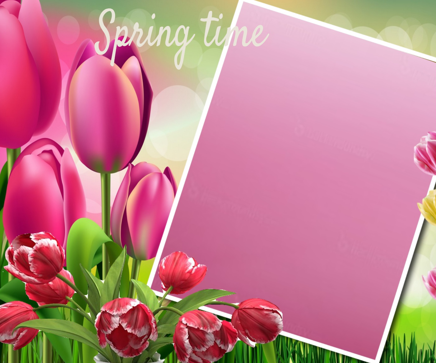 Emily50's Spring - Spring Emily50picture Frames - Spring Emily50picture ...