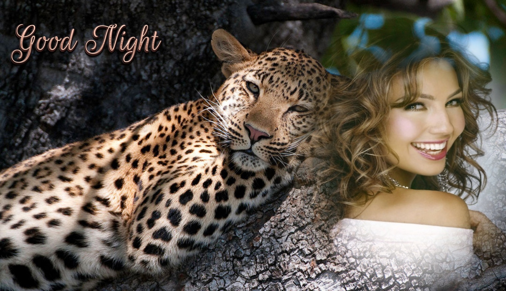 Emily50's Good Morning and Good Evening - Good Evening Good Night ...