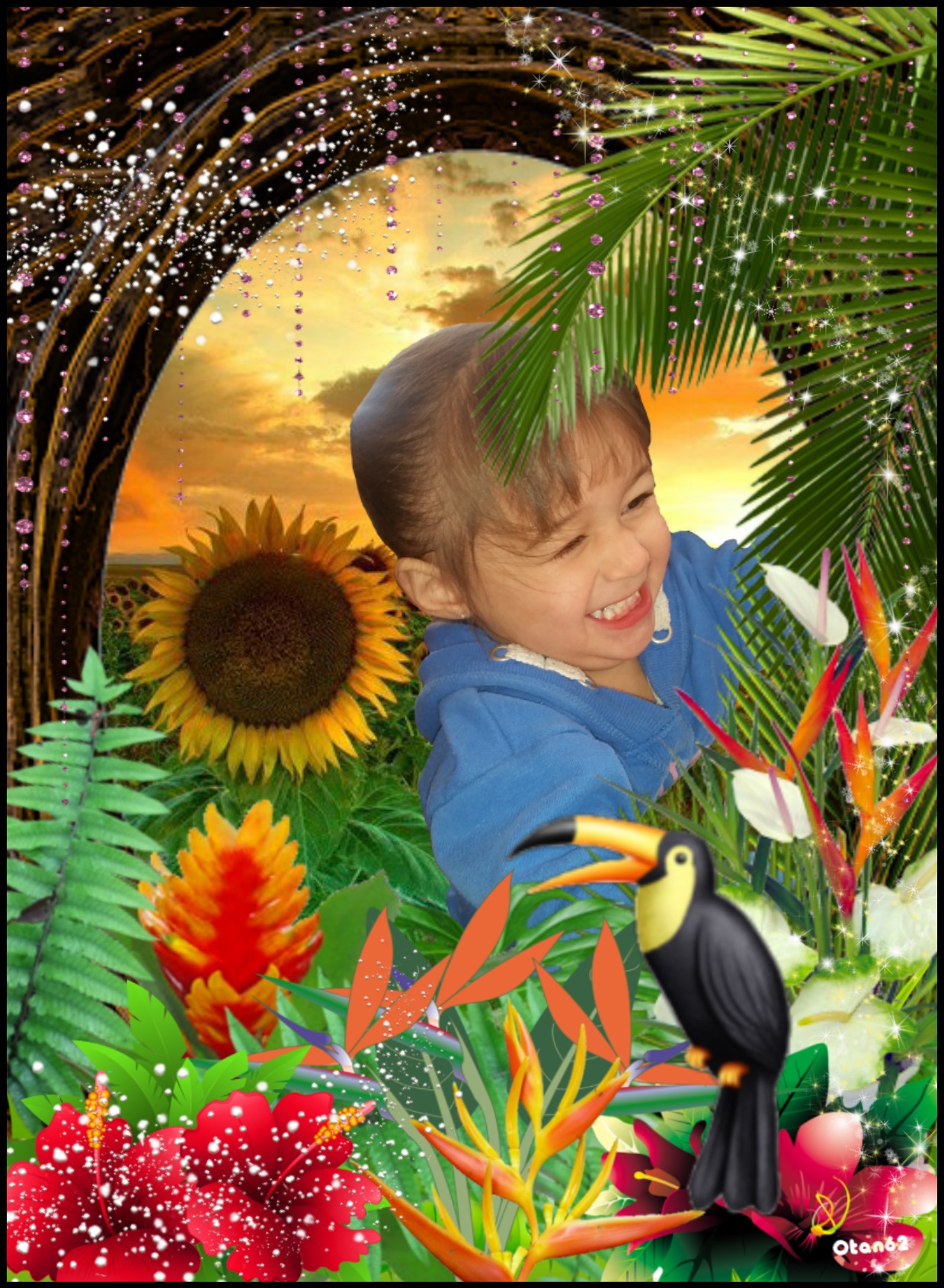 Otan62's Sunsets, Scenery and Nature Frames - 2016 August - Forrest ...