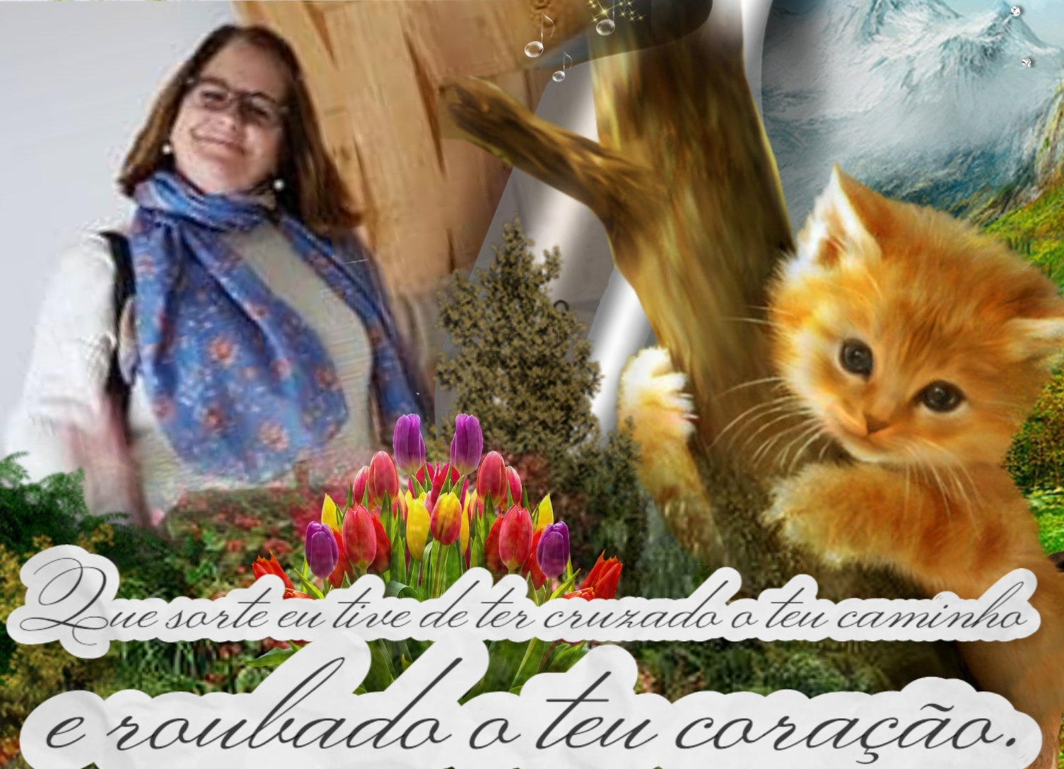 João Marques's First Stream - João Marques's First Stream