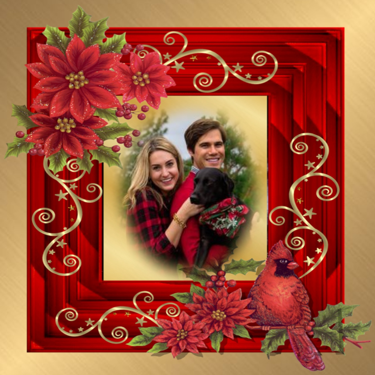 Mmhartley2's Holiday Frames - Merry ChristmasChristmasHappy ...