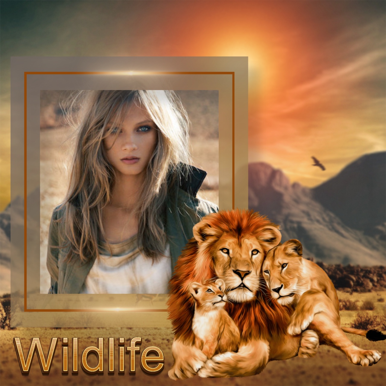 Nette's Wildlife,Animals, pets Frames - Lions Wild Life Frame Nature ...