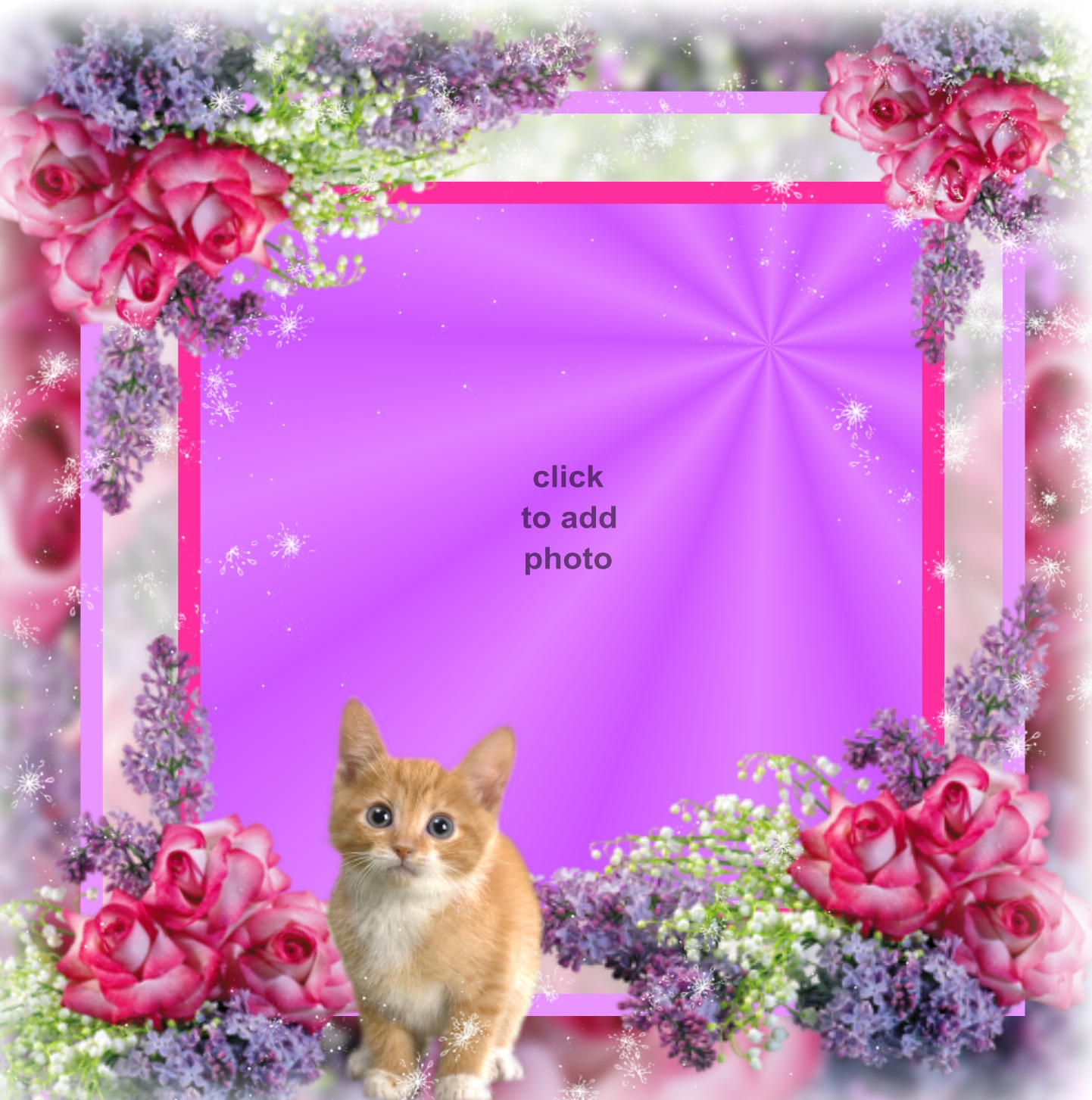 Sinnlich's ME! Frames - 2014 March - Cat in Lilac Sinnlich Pink Roses ...