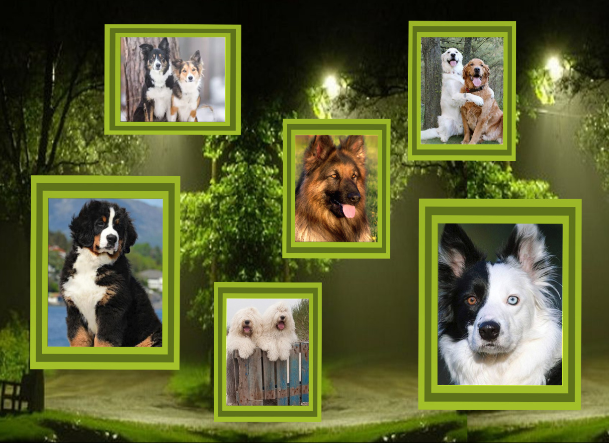 Mmhartley2's Everything Stream - Collage Green Family Love - Collage ...