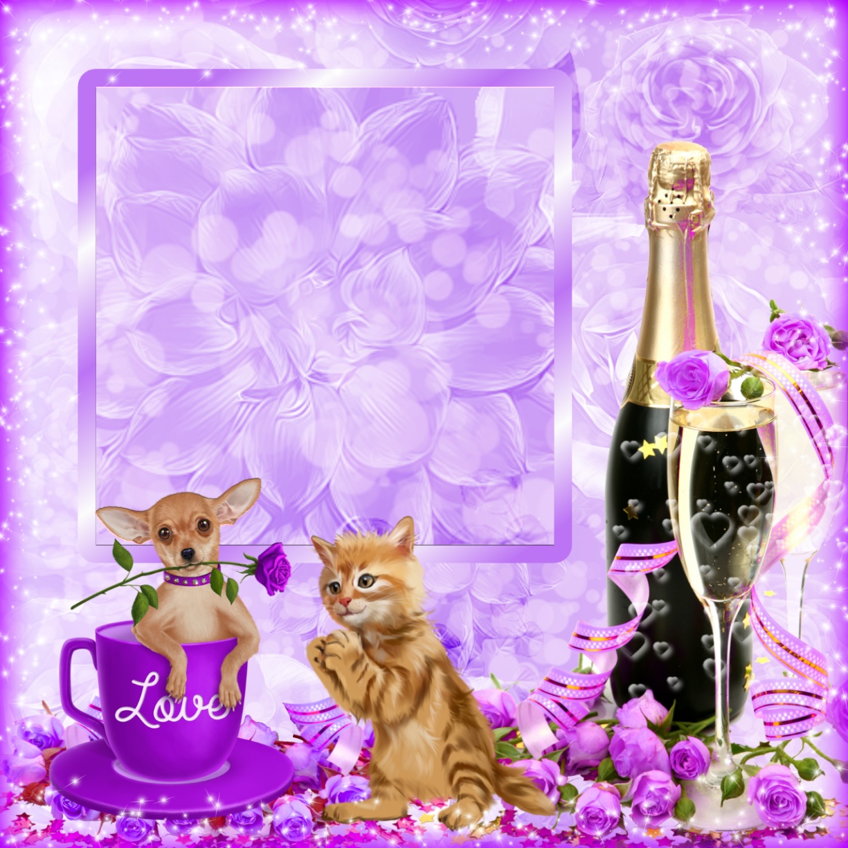 Sinnlich's Cat Frames - 2018 - Love , 1 Frame Sinnlich I Love You Cats ...