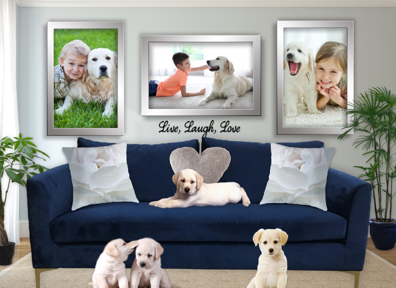 Elizabeth's CATS & DOGS 🐱 🐶 - Dogs Labrador Puppies - Dogs Labrador ...