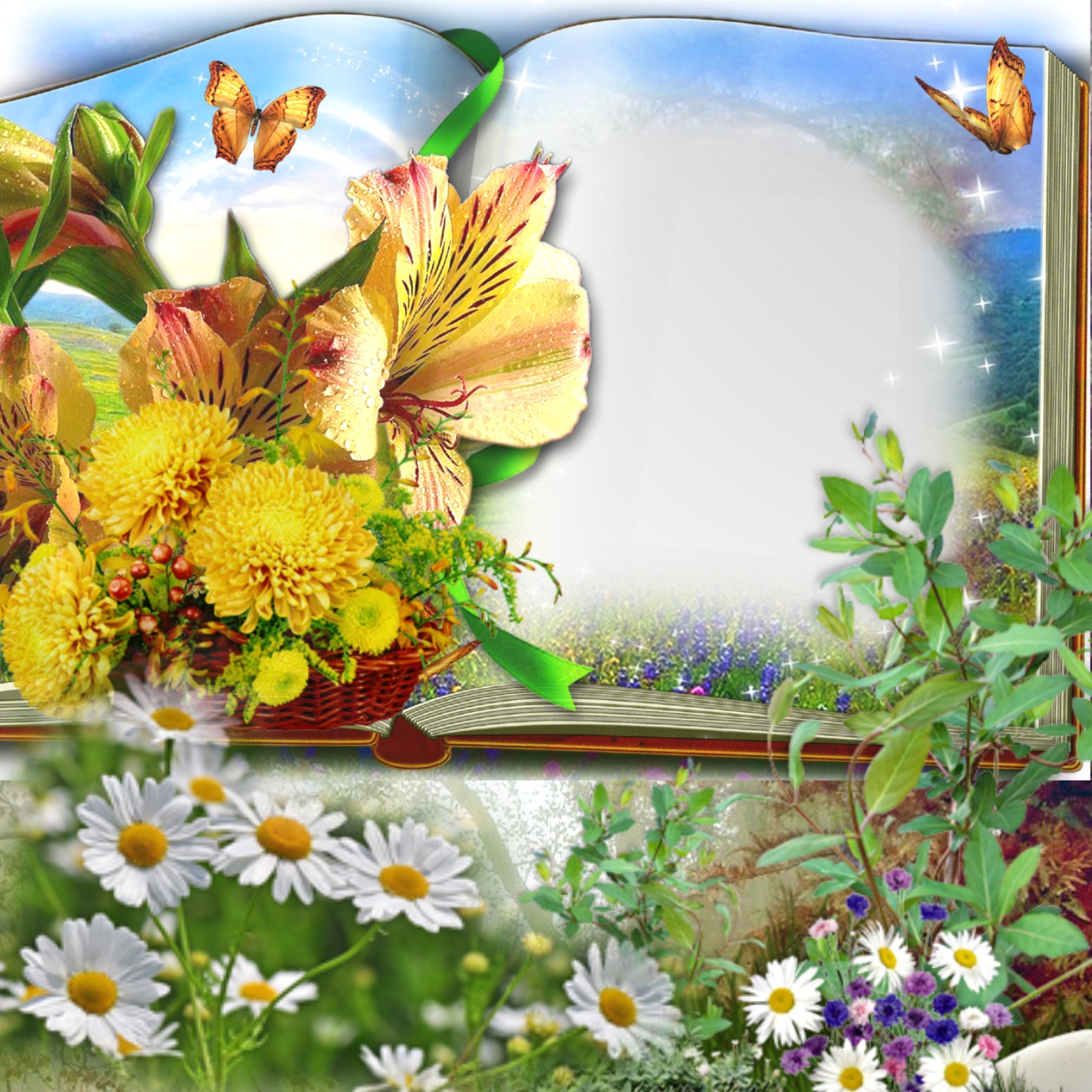 Emily50's North America Frames - nature book frame Ghy01 florida ...