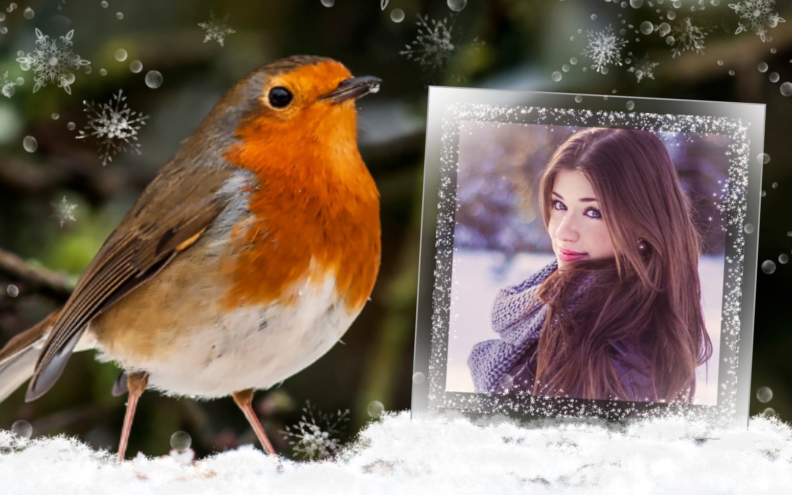 Elizabeth's WINTER ️ 2/2 - Winter Winter Wildlife - Winter Winter ...