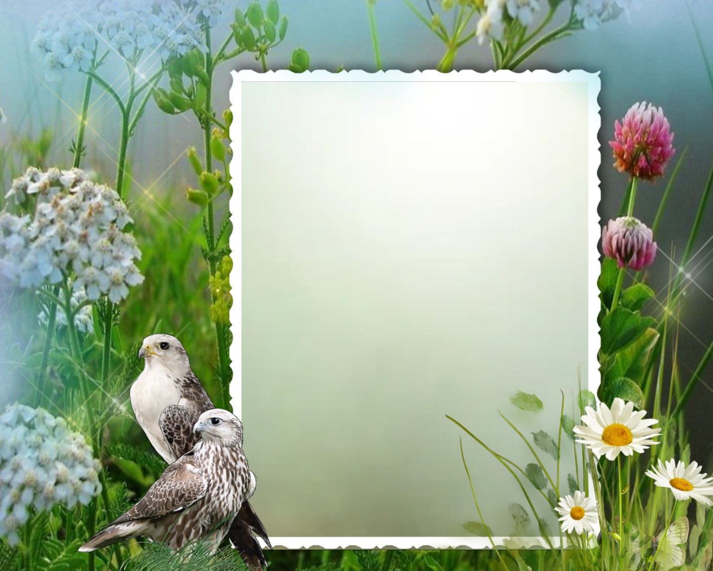 Emily50's Spring Frames - Spring Emily50 ...