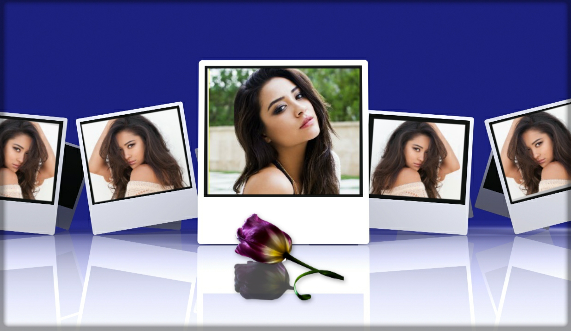 Elizabeth's FACEBOOK PROFILE COVER 🟦 - Facebook Profile Cover Social ...