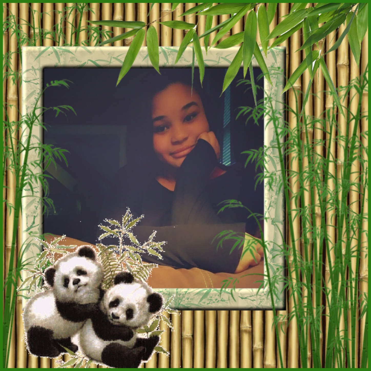 jozzie02's Fun Frames - Fun Frames - Panda Frame Jozzie02 china - Panda ...