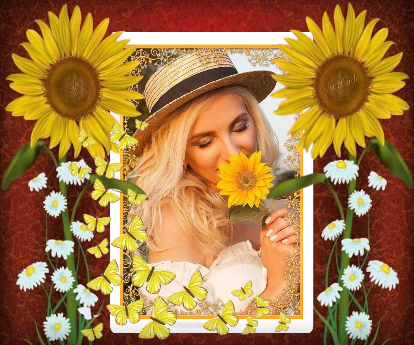 Adelaide's SUNFLOWERS - GIRASSOIS - GIRASOLES - Adelaide - Adelaide ...