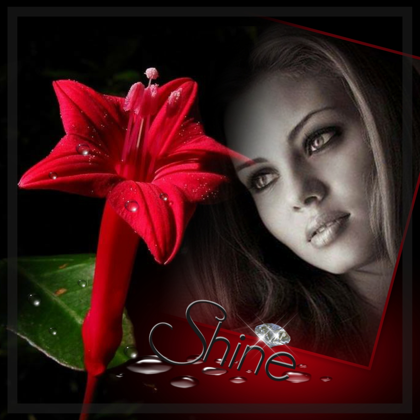 Adelaide's Girly Girl - Pretty Girl - Pretty Women - Adelaide ...