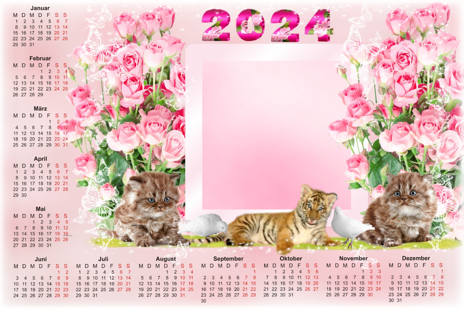 Sinnlich's Calendar Frames - 2024 - Pink Sinnlich 2024 Calendars Cats ...