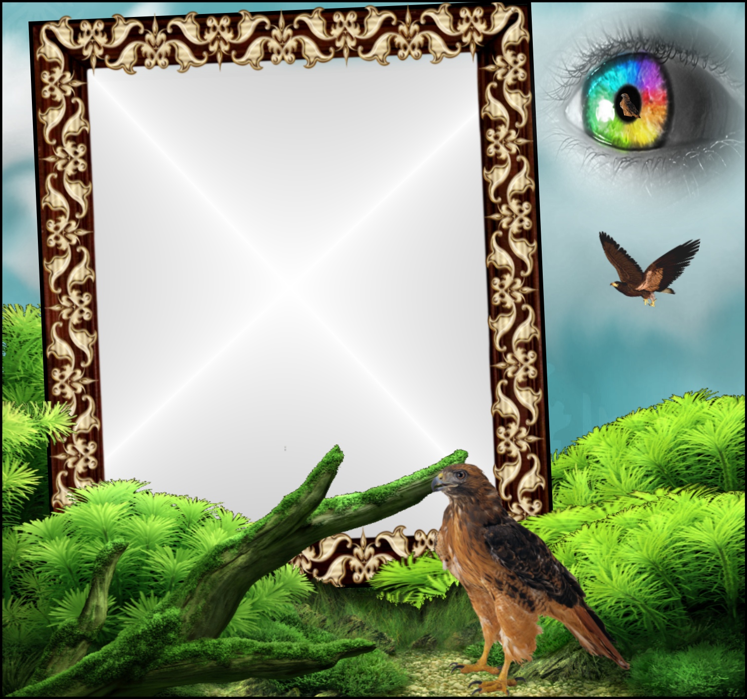 judyssandy54's Picture Frames - 2014 September - Hawk Eye Judyssandy54 ...