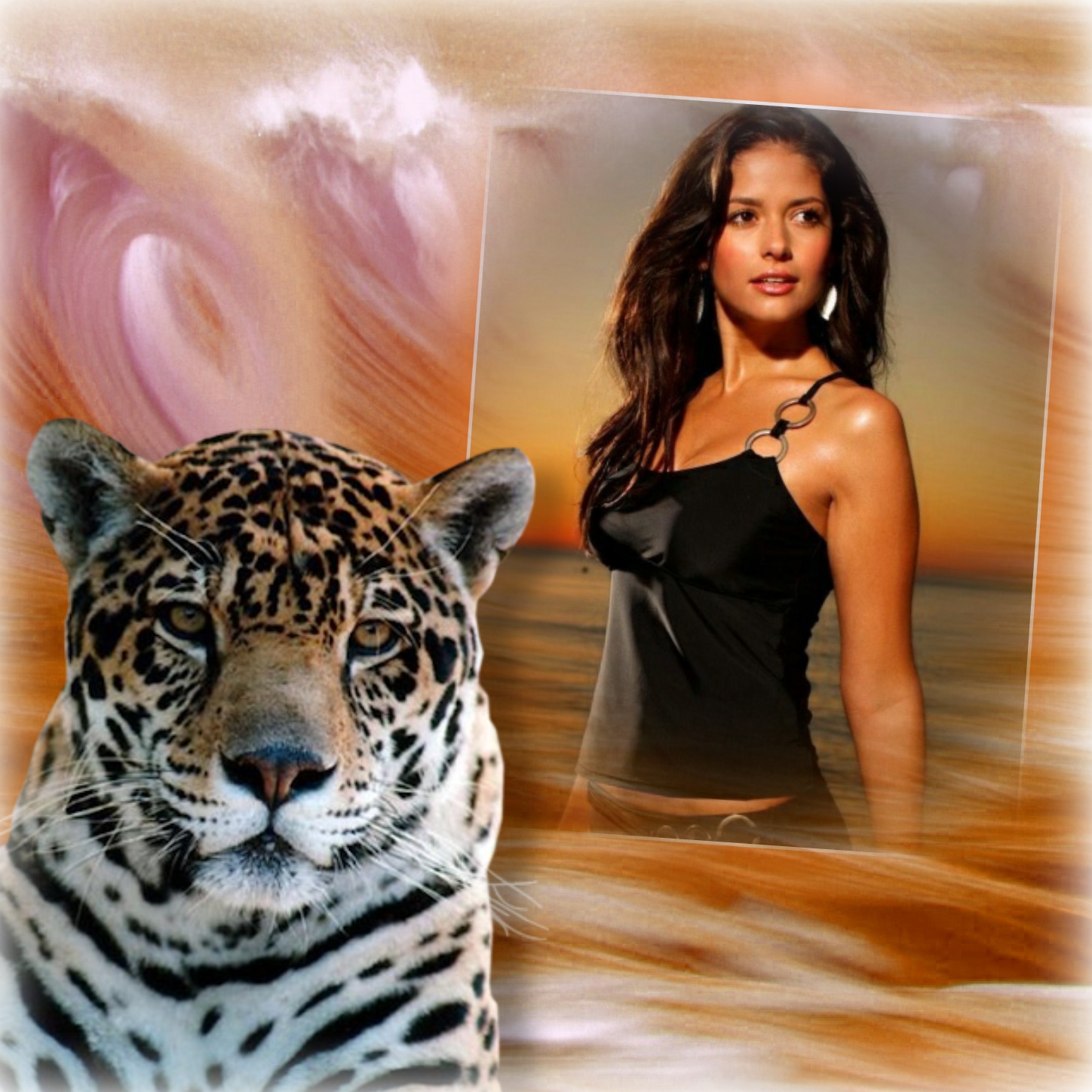 Elizabeth's ANIMALS & WILDLIFE 🙈 - Leopard Elizabeth - Leopard Elizabeth