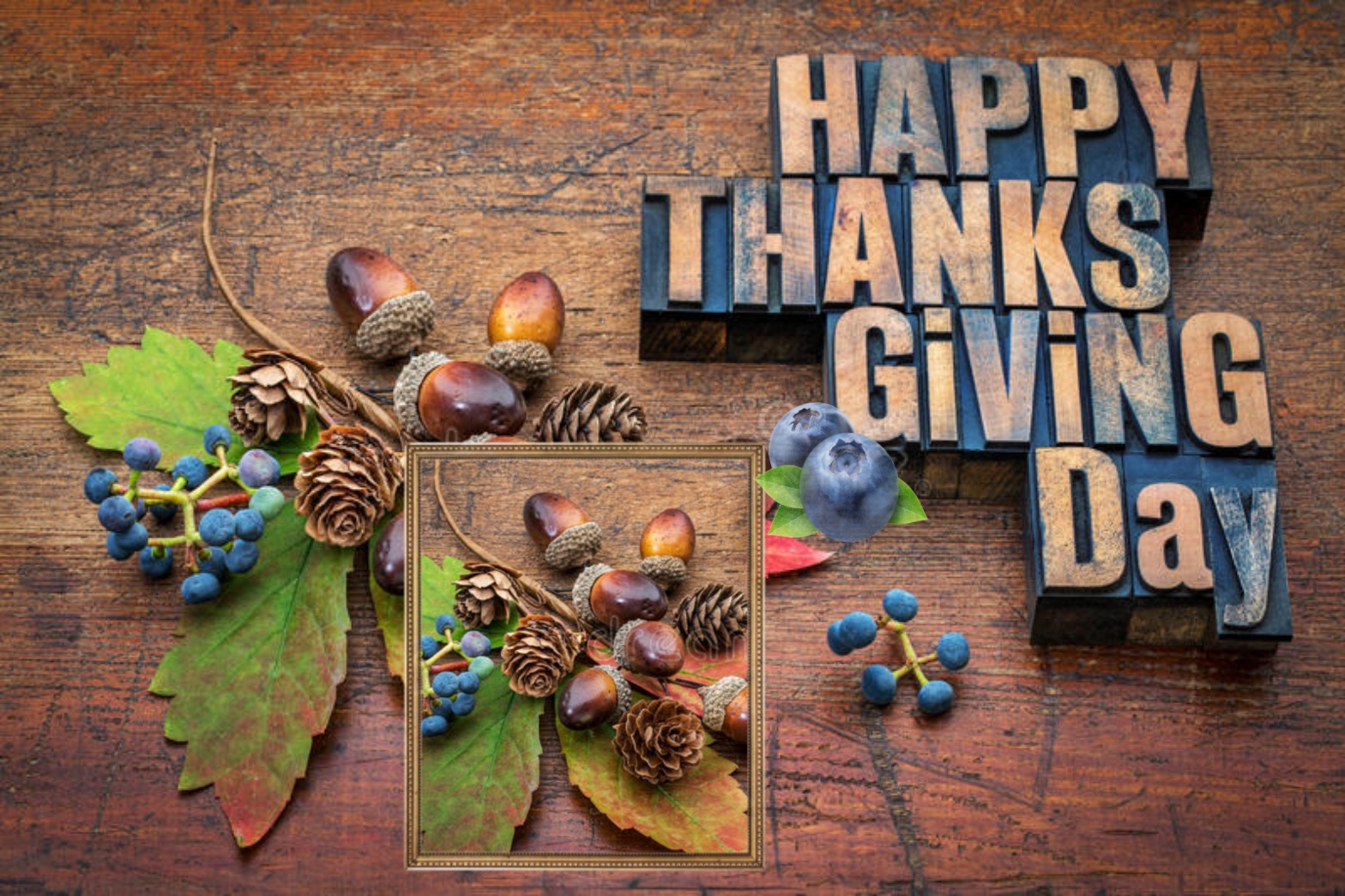 Emily50's Fall Holidays (Nature) (Thanksgiving) - Thanksgiving happy ...