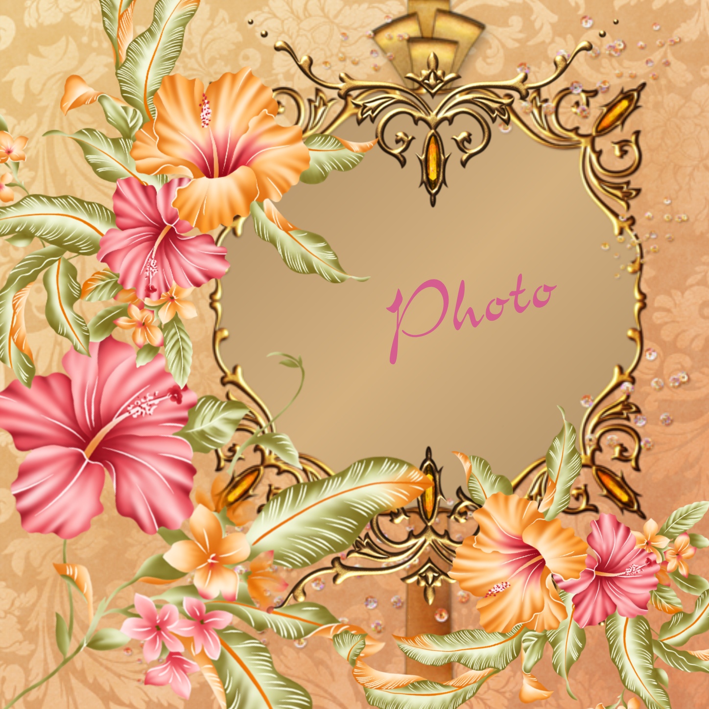TAMMYBRANTLEY's Facebook Profile Cover Frames - 2013 August - Hibiscus ...