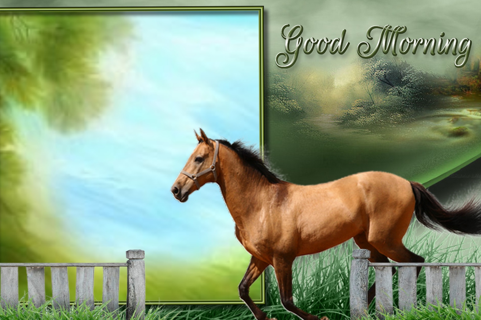 Emily50's Good Morning and Good Evening Frames - Good Morning Wildlife ...