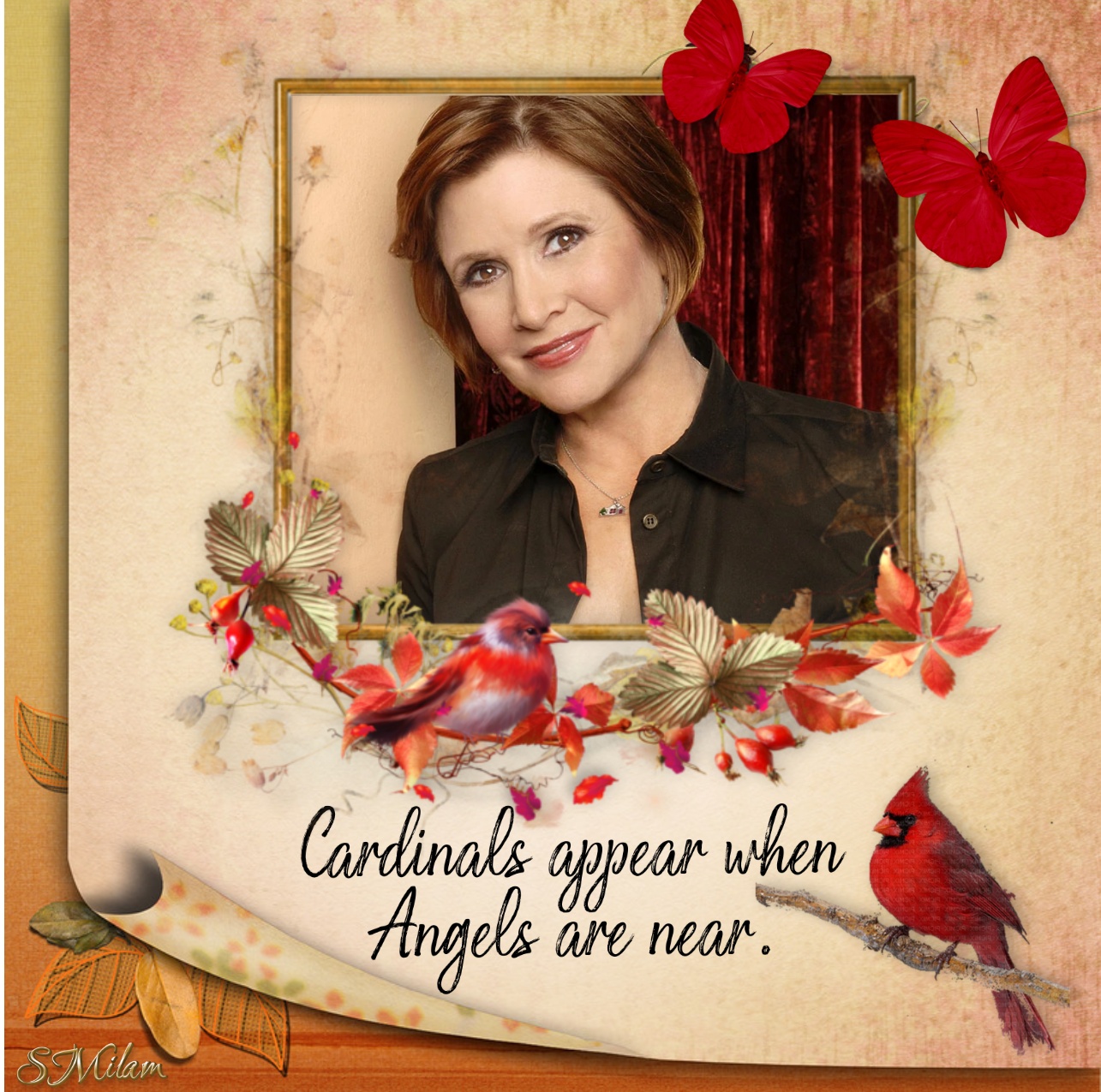 smilam's In Memory Of... Frames - In Loving Memory 2023 - Cardinals ...