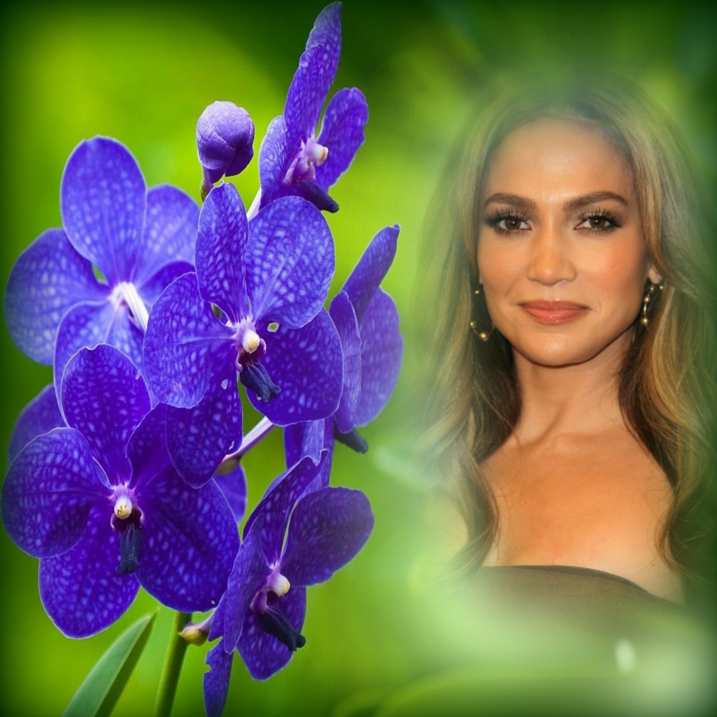 Elizabeth's THINKING OF/MISSING YOU 🥀 1/4 - Orchid Elizabeth - Orchid ...