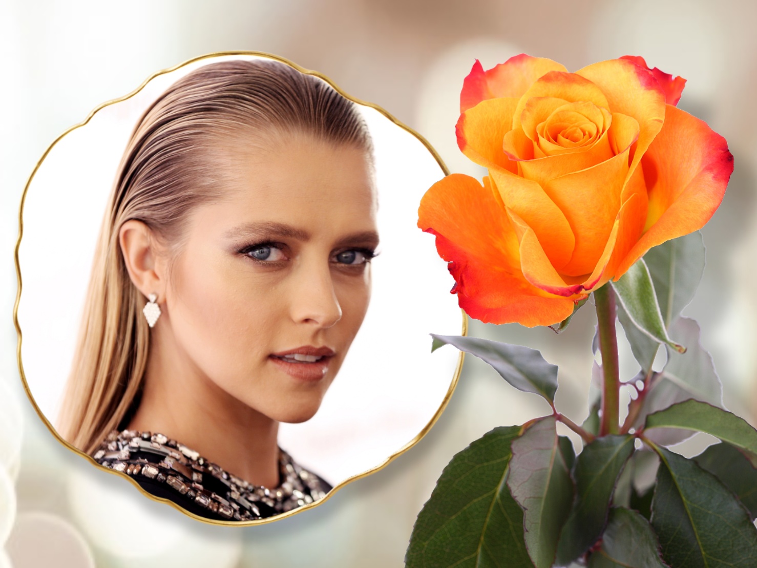 Elizabeth's GOOD MORNING/DAY/NIGHT ⭐️ 2/3 - Good Morning Haveagreatday ...