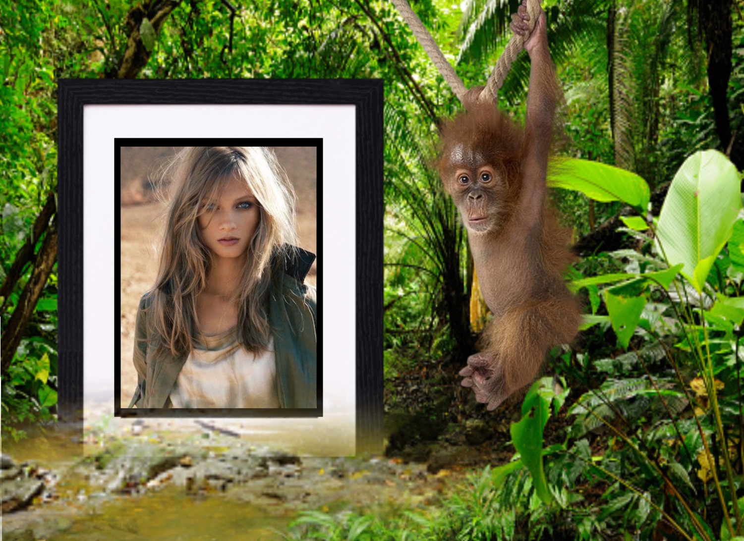 Nette's Wildlife,Animals, Pets, WoodlandAnimals - Wildlife ...