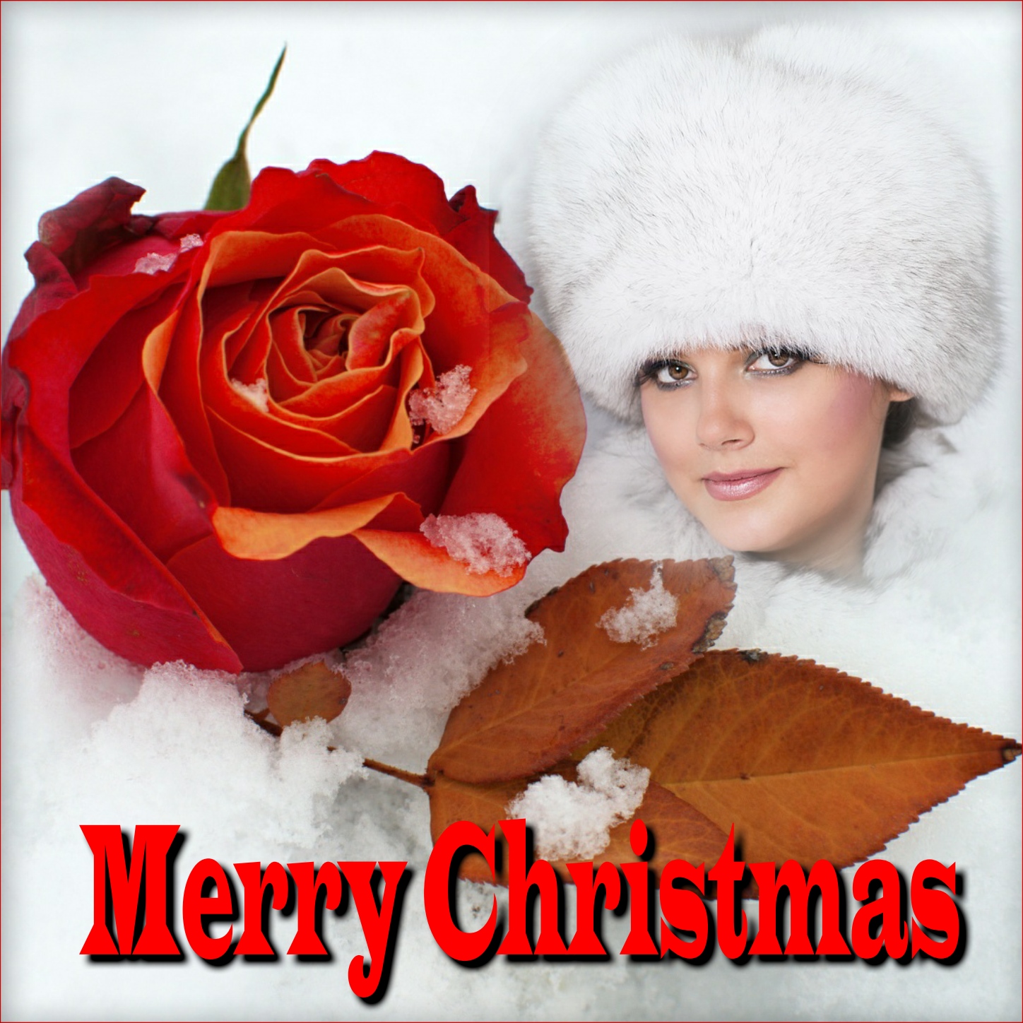 MIRONNA's Christmas Frames - 2014 December - Red Rose for Christmas ...