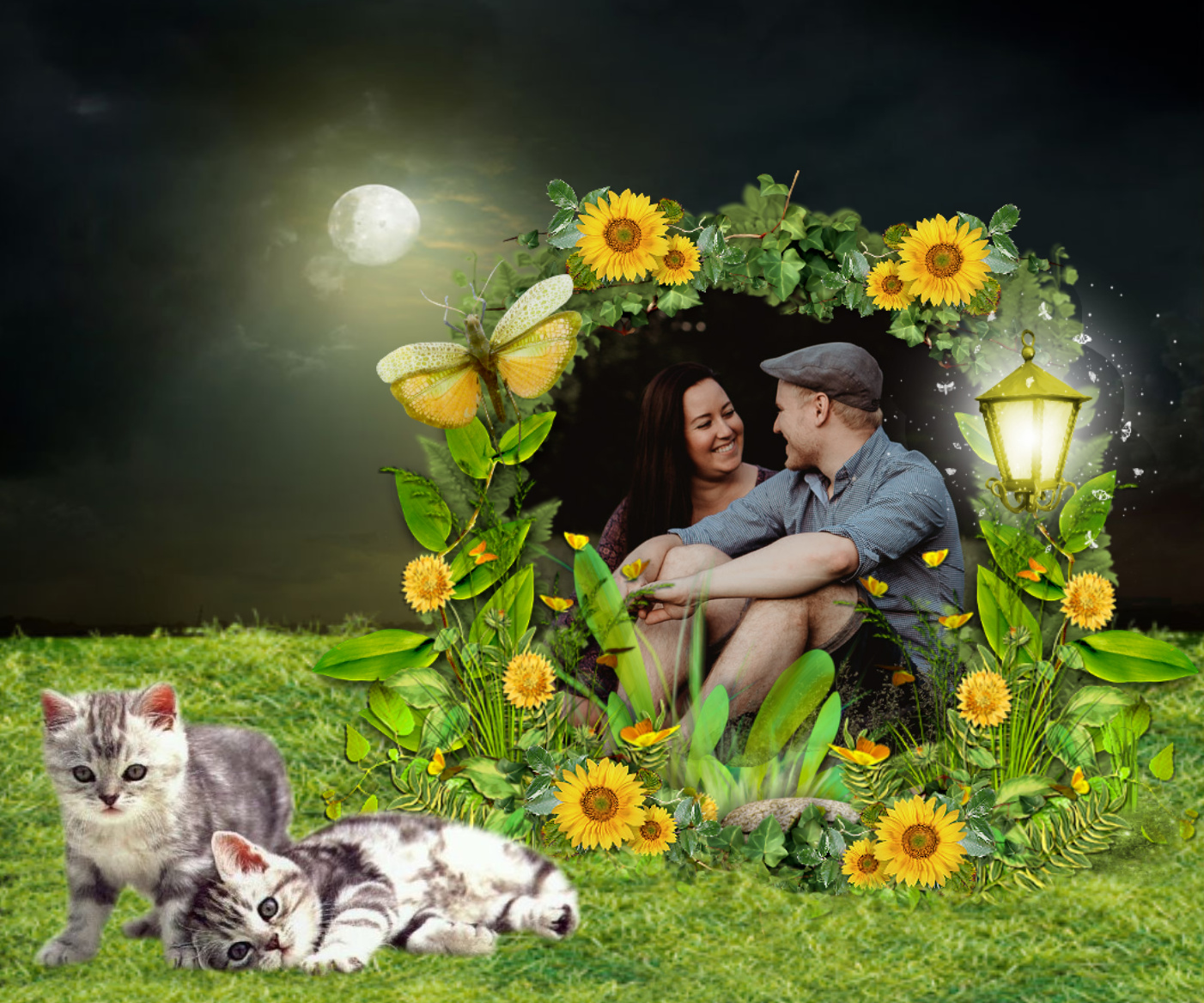 pussycatlady22's Summer - Summer Frames Nature Summer Cats - Summer ...