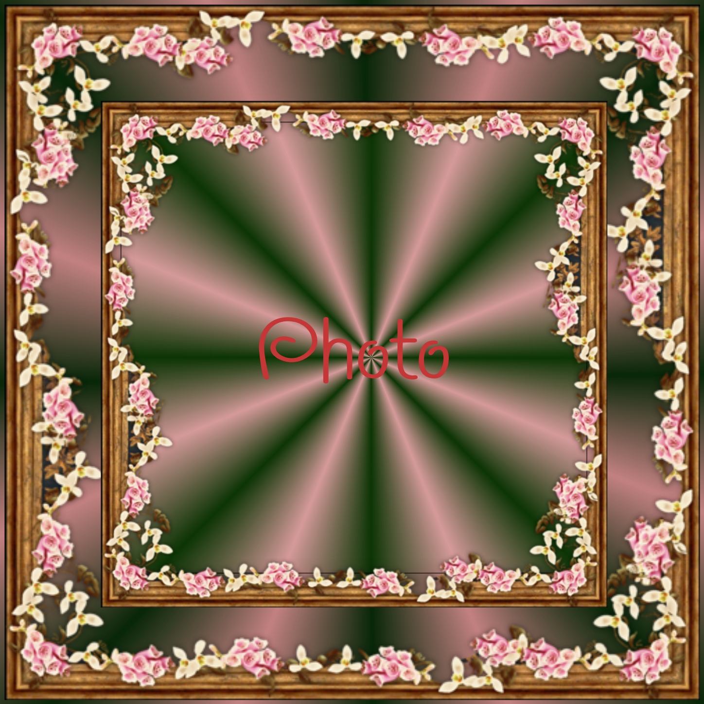 TAMMYBRANTLEY's Picture Frames - 2012 March - Double Layer Frame Double ...