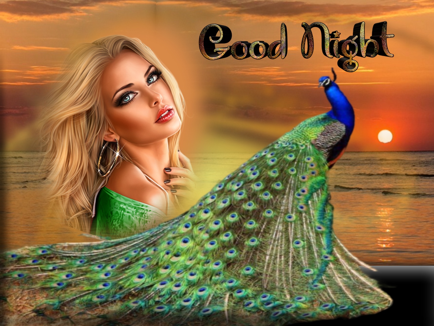 Wienie Coppen's Flowers,Goodnight,Sunset - goodnight ocean peacock ...