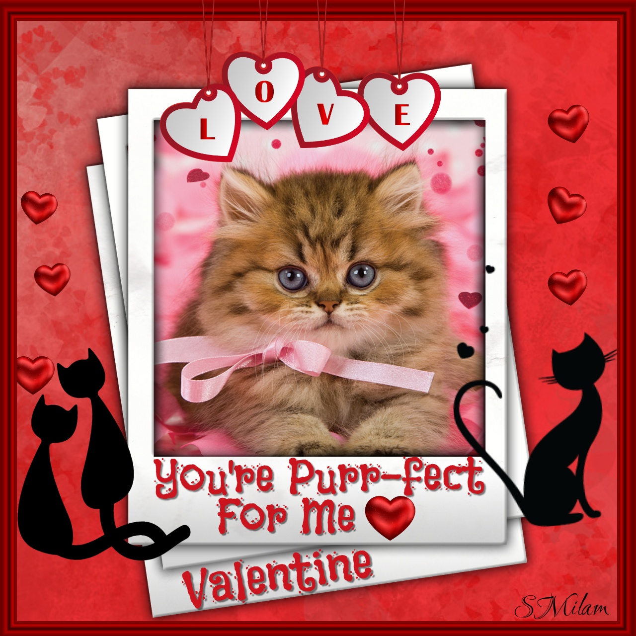 smilam's Pets - Valentine's Day - You're Purr-fect For Me Valentine ...