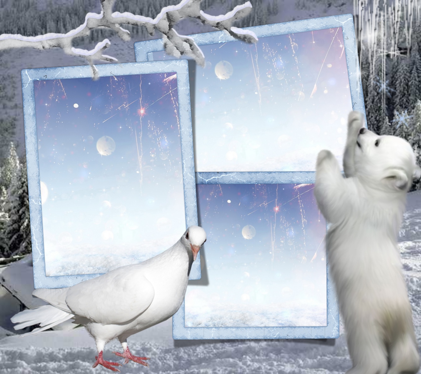 Emily50's Winter Frames - winter Family nature - winter Family nature