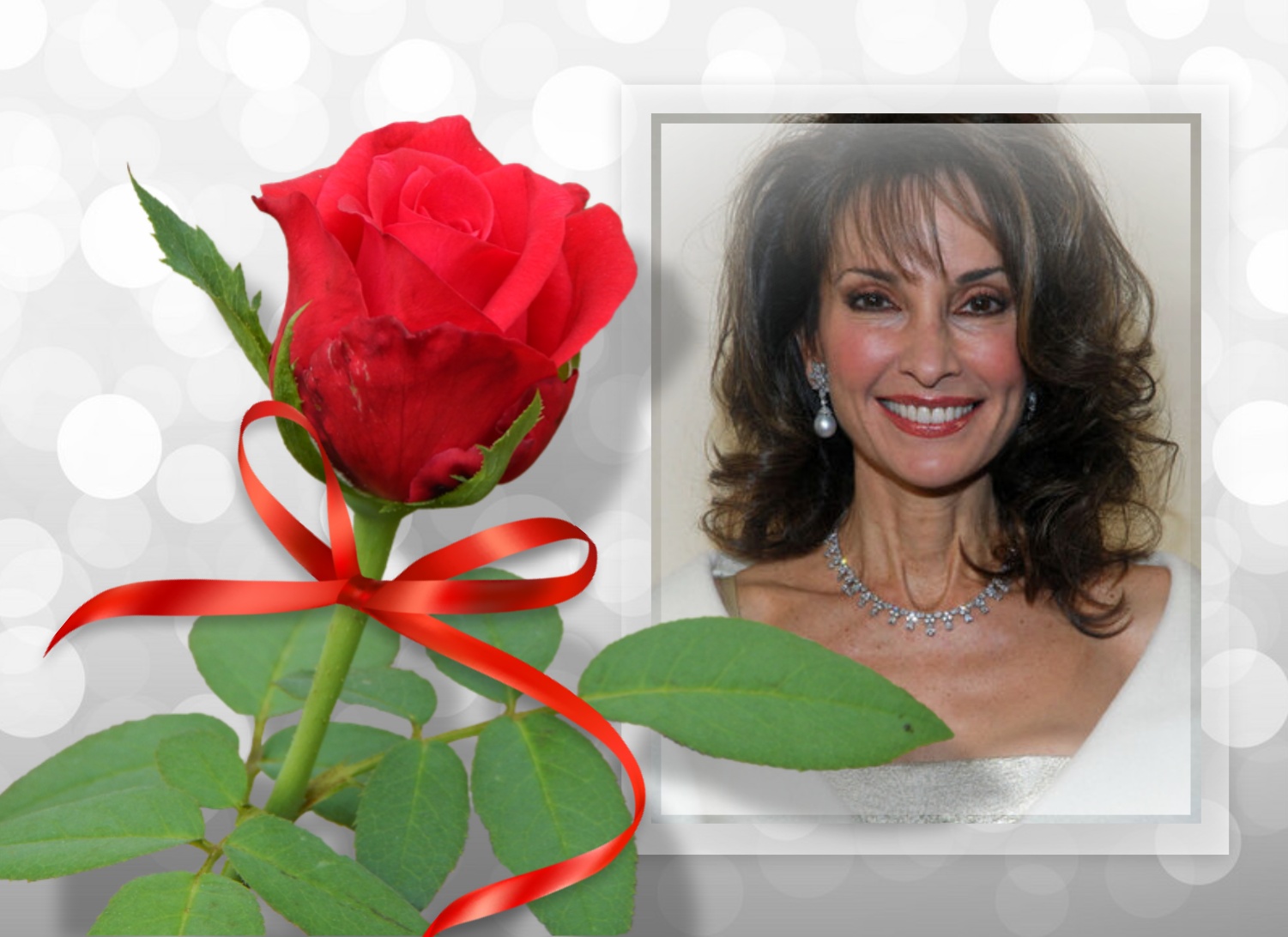 Jezebel64s Floral Red Rose Portrait Jezebel64 Have A Great Day Red