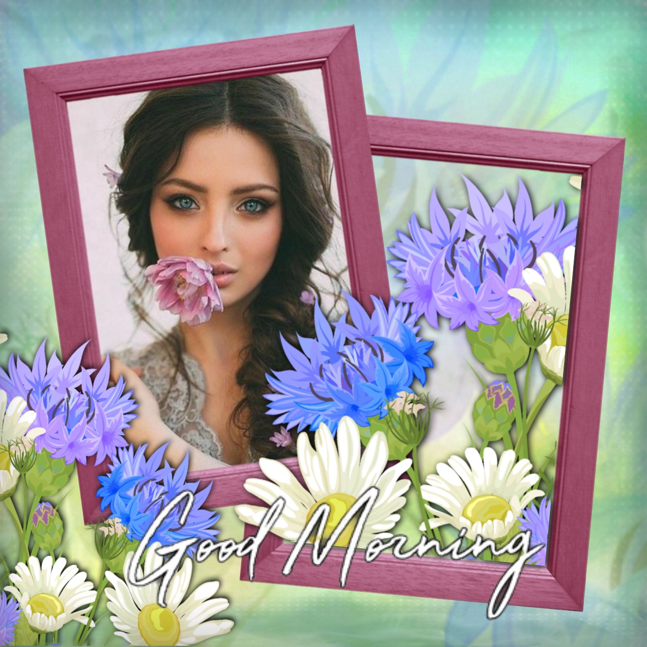 Adelaide's BOM DIA/NOITE🌅 🌇 GOOD MORNING/NIGHT - Adelaide - Adelaide ...