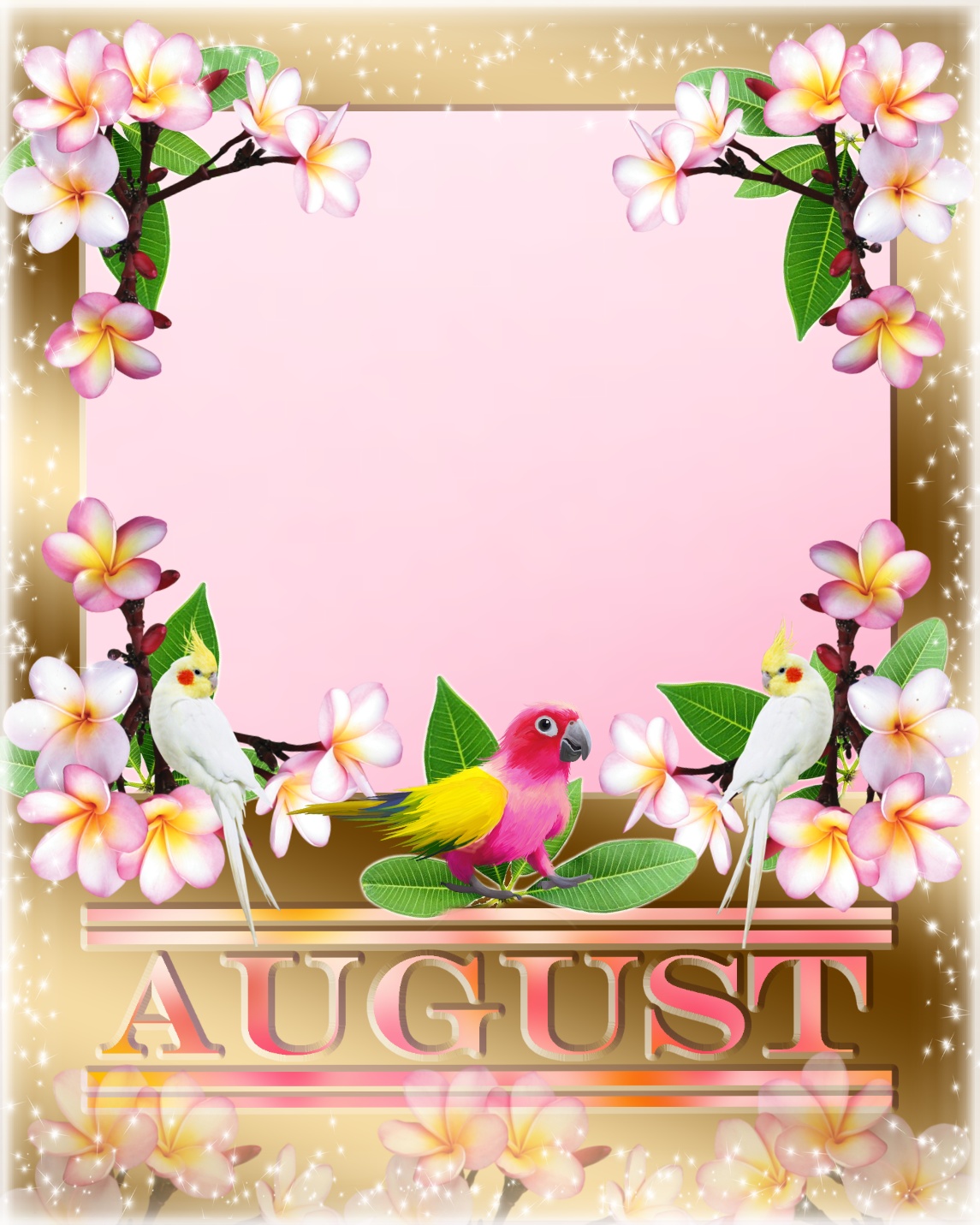 Sinnlich's ME! Frames - 2022 - Pink August Frame Sinnlich Calendars ...