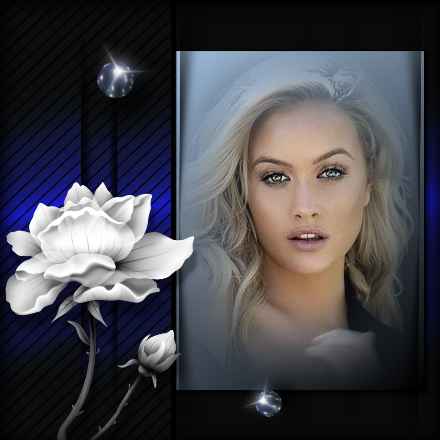 Elizabeth's ABSTRACT 🎆 1/3 - Abstract White Rose Elizabeth - Abstract ...