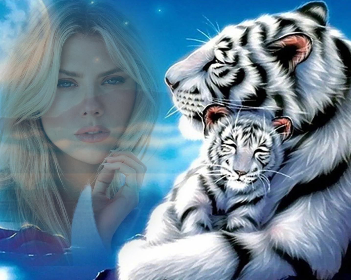 Nette's Wildlife,Animals, Pets, WoodlandAnimals - Wildlife ...
