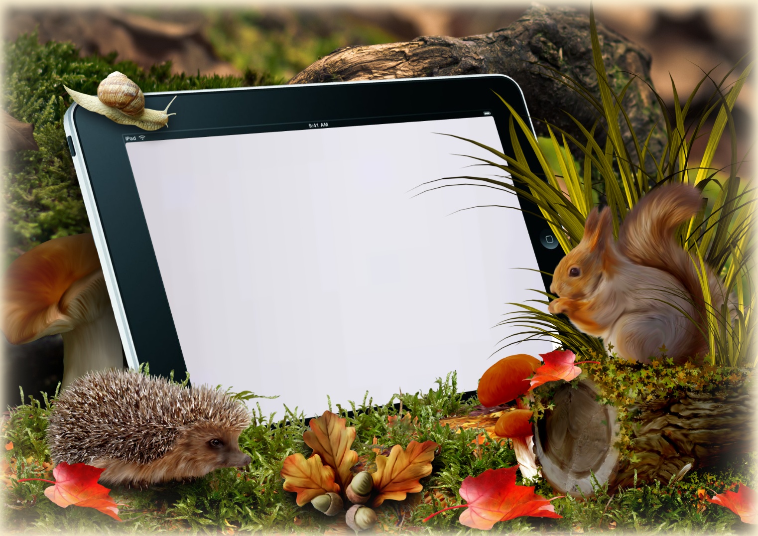 Emily50's Fall Frames (Vintage) - Fall Spring ...