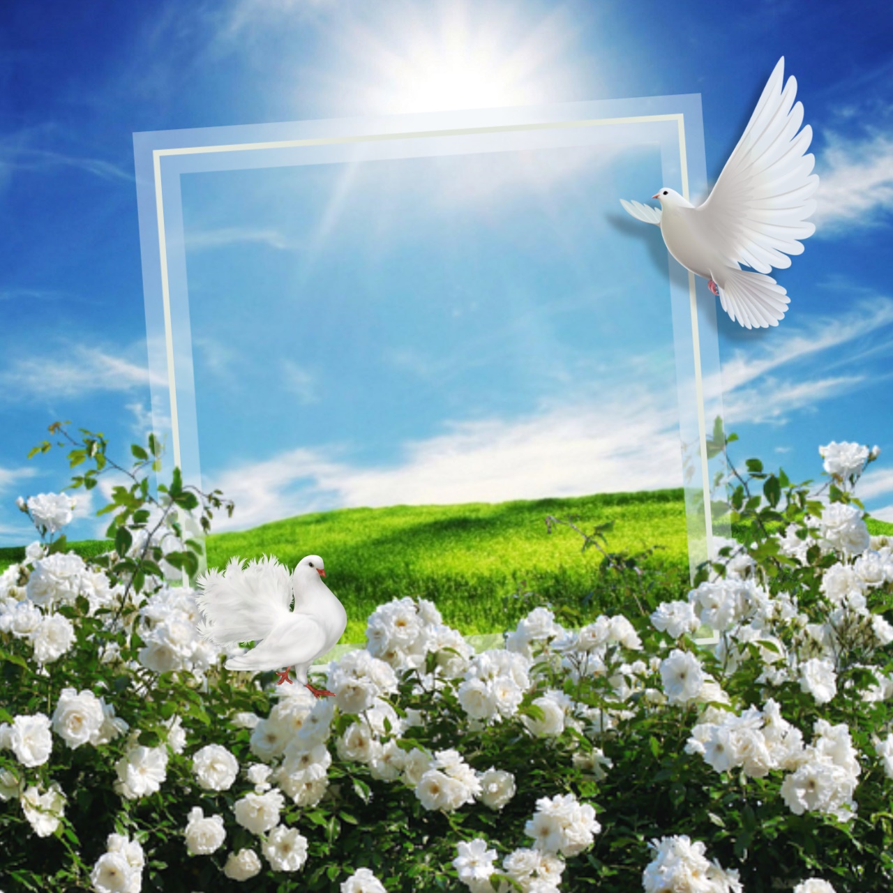 Elizabeth's IN MEMORY 🌤 - In Memory Loss Never Forgotten - In Memory ...