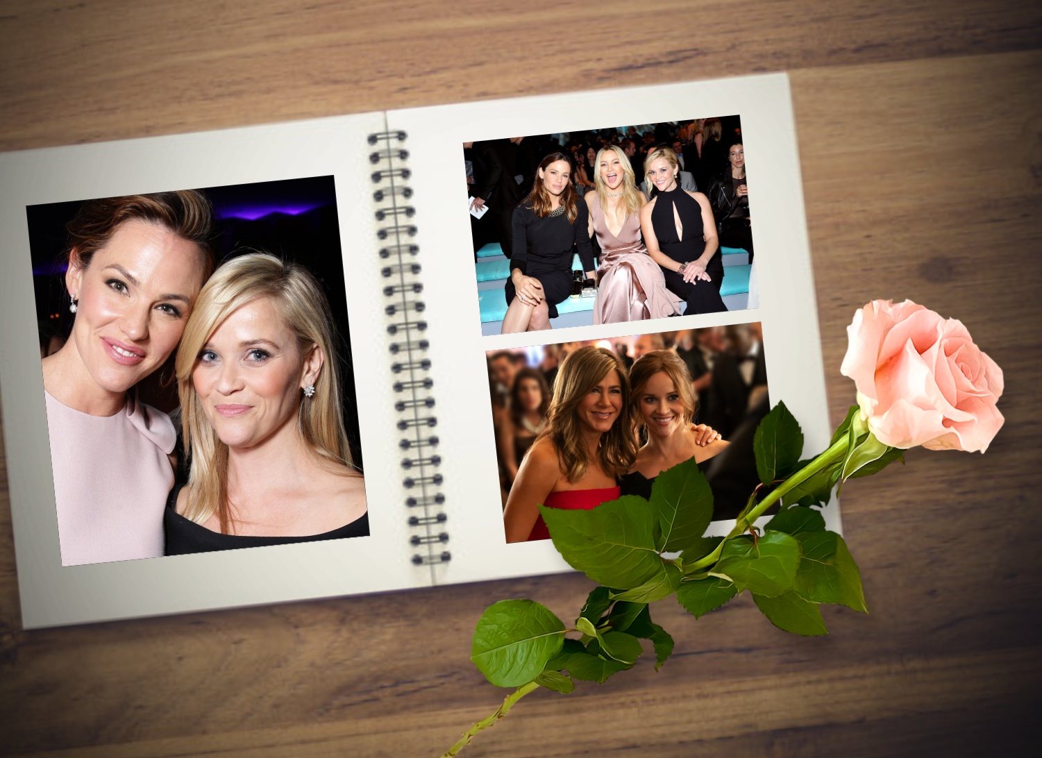 Jezebel64's Photo(s) Albums - Photo Album Friends Family Pink Rose ...