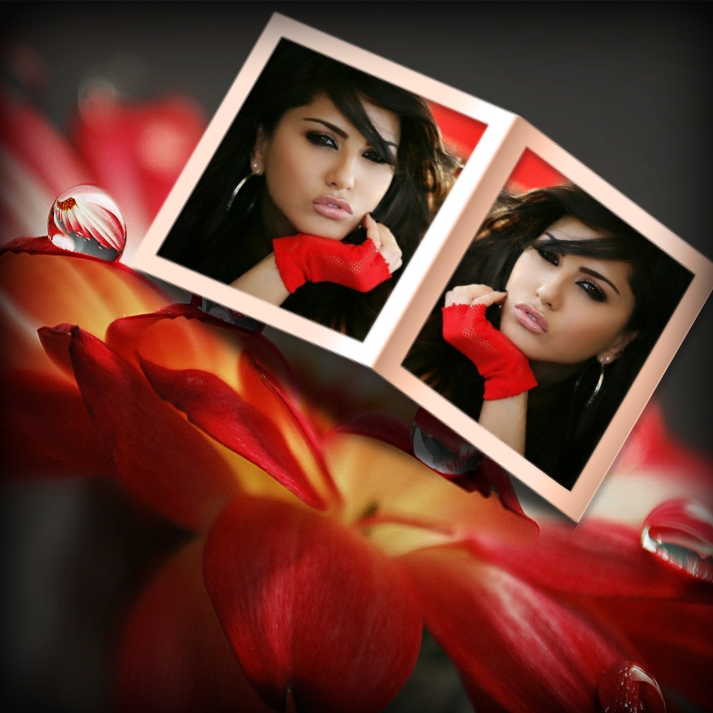 Elizabeth's THINKING OF/MISSING YOU 🥀 1/4 - Thinkingofyou Gerbera Twin Frames Elizabeth ...