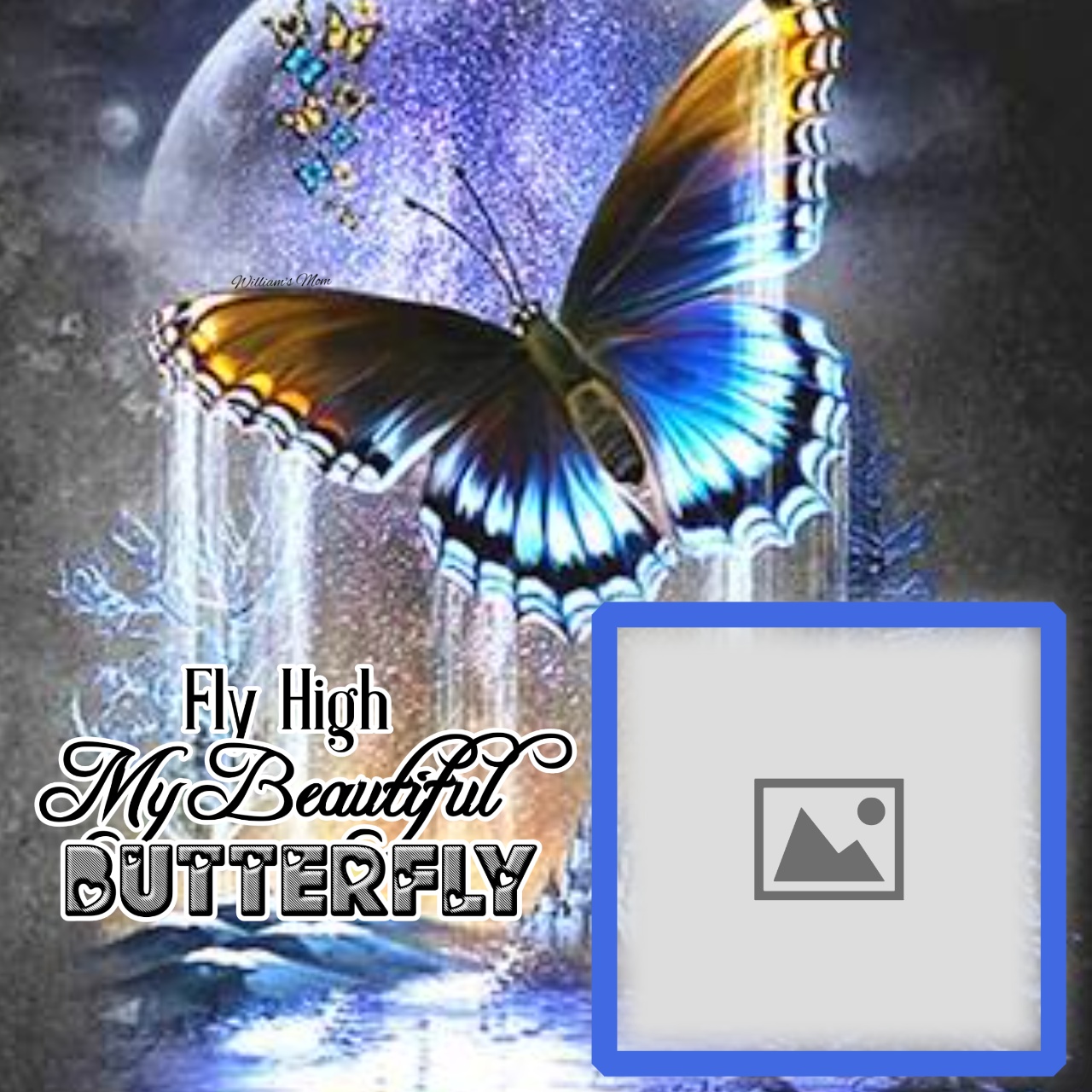 babycapri3's Butterflies - In Memory Of William - Fly High - Fly High ...